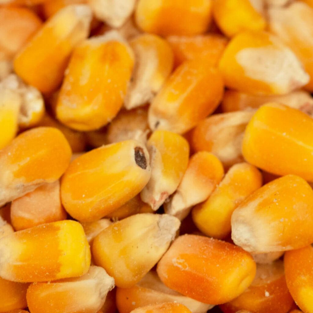Pellet de Paja. POBALLE. Subproductos Alimentación Animal