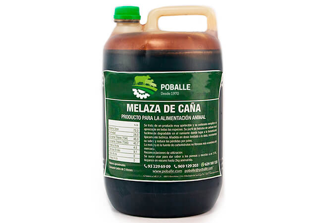 Melaza de Caña 6,5KG. Para alimentación de ganado vacuno y ovino